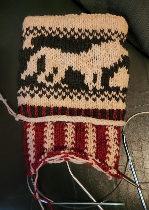 String-Or-Nothing | Tangled Fiber Thoughts